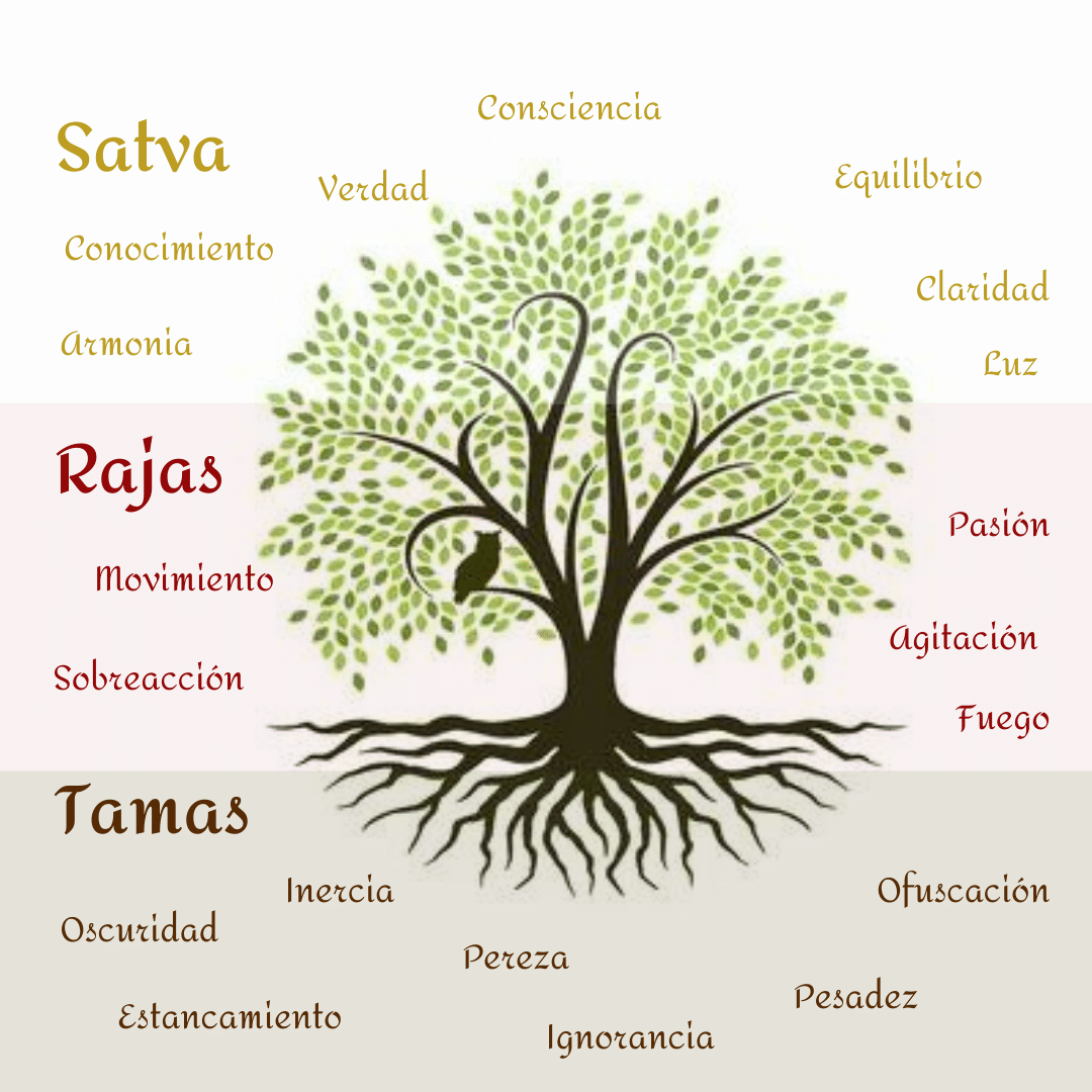 Los 3 gunas y el Yoga - Yoga Bizia